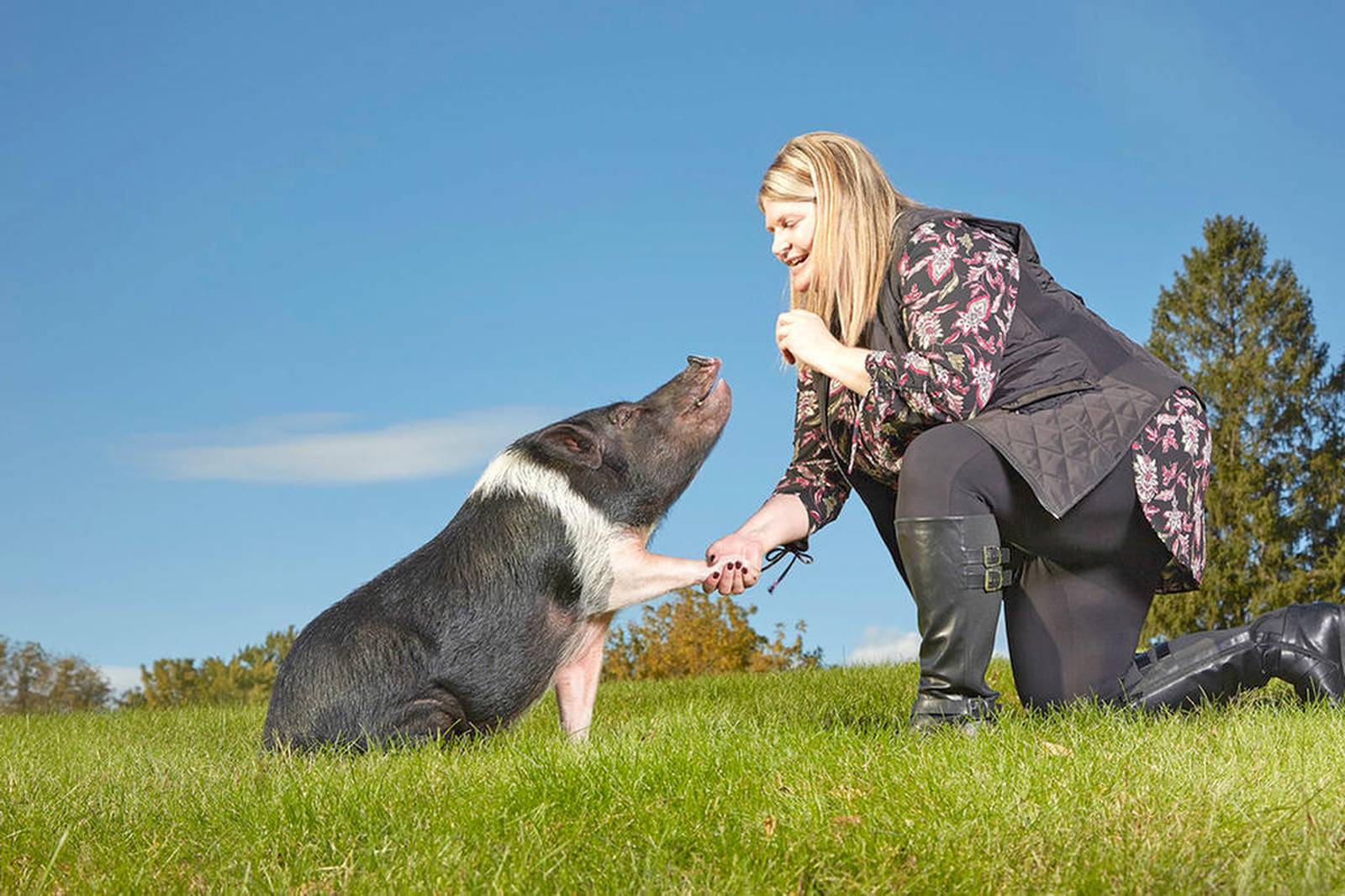 Oh, Joy! Newton’s famous mini-pig featured in Guinness World Records ...