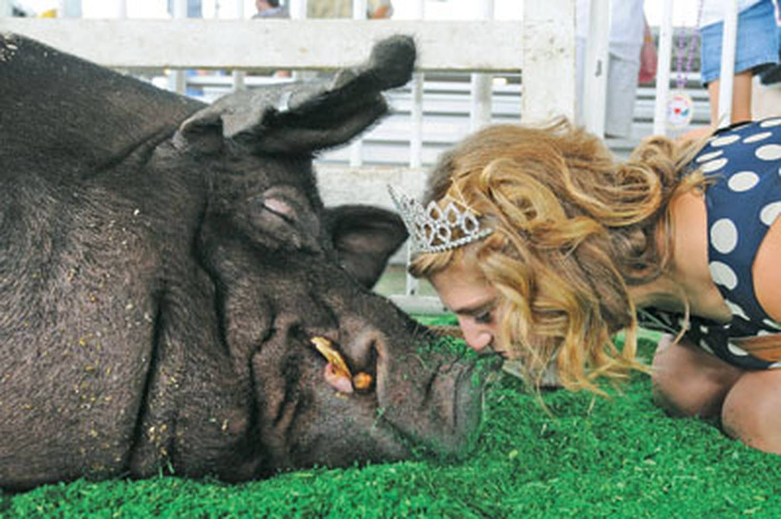 Branderhorst reflects on pork queen role – Newton Daily News