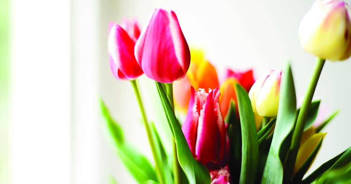 Linda Sue Hotger – Newton Daily News