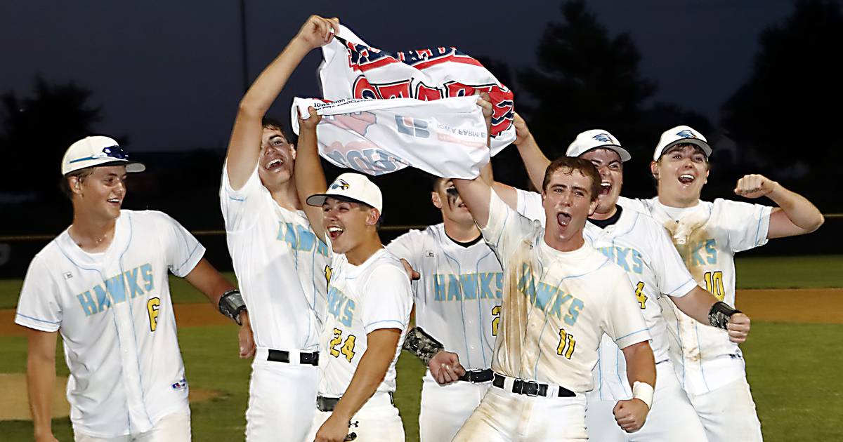 L-S baseball clinches state berth in walk-off fashion – Newton Daily News