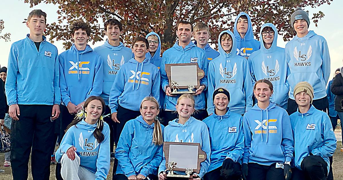 Hawk harriers sweep SICL meet – Newton Daily News