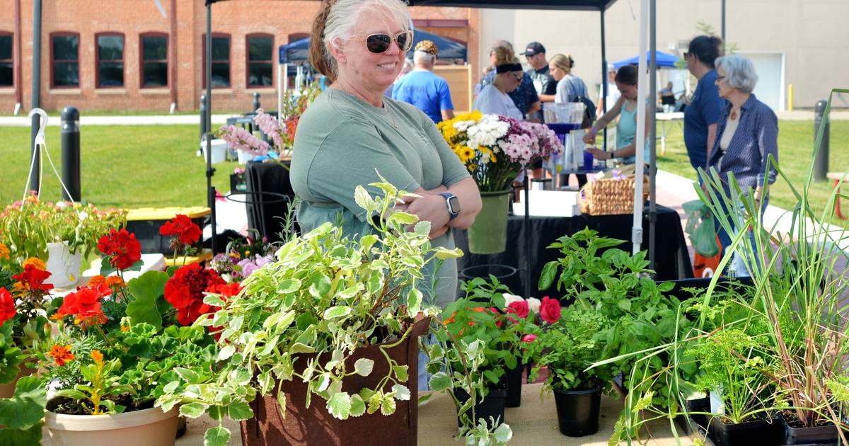 Newton Farmers Market sees record number of vendors in new location at ...